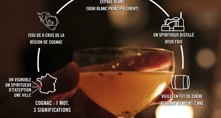 Introduction et découverte du cognac - Infographie | Culture Cognac