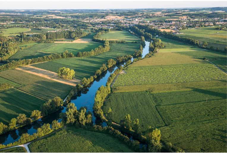 Voyage dans le monde du Cognac | Culture Cognac