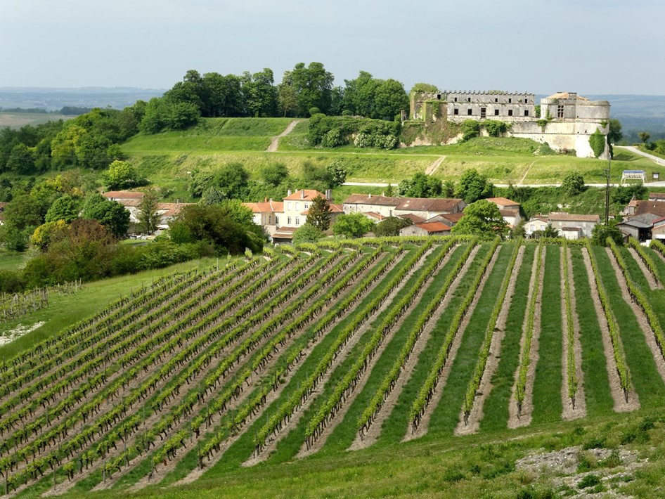 From towns to places, landscapes marked by settlements and human ...